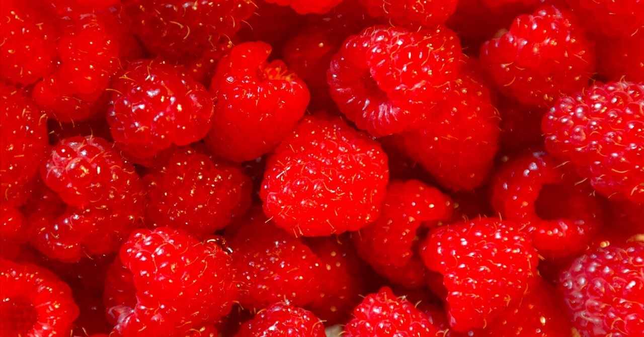 出動妖精、休業妖精｜伏野隆