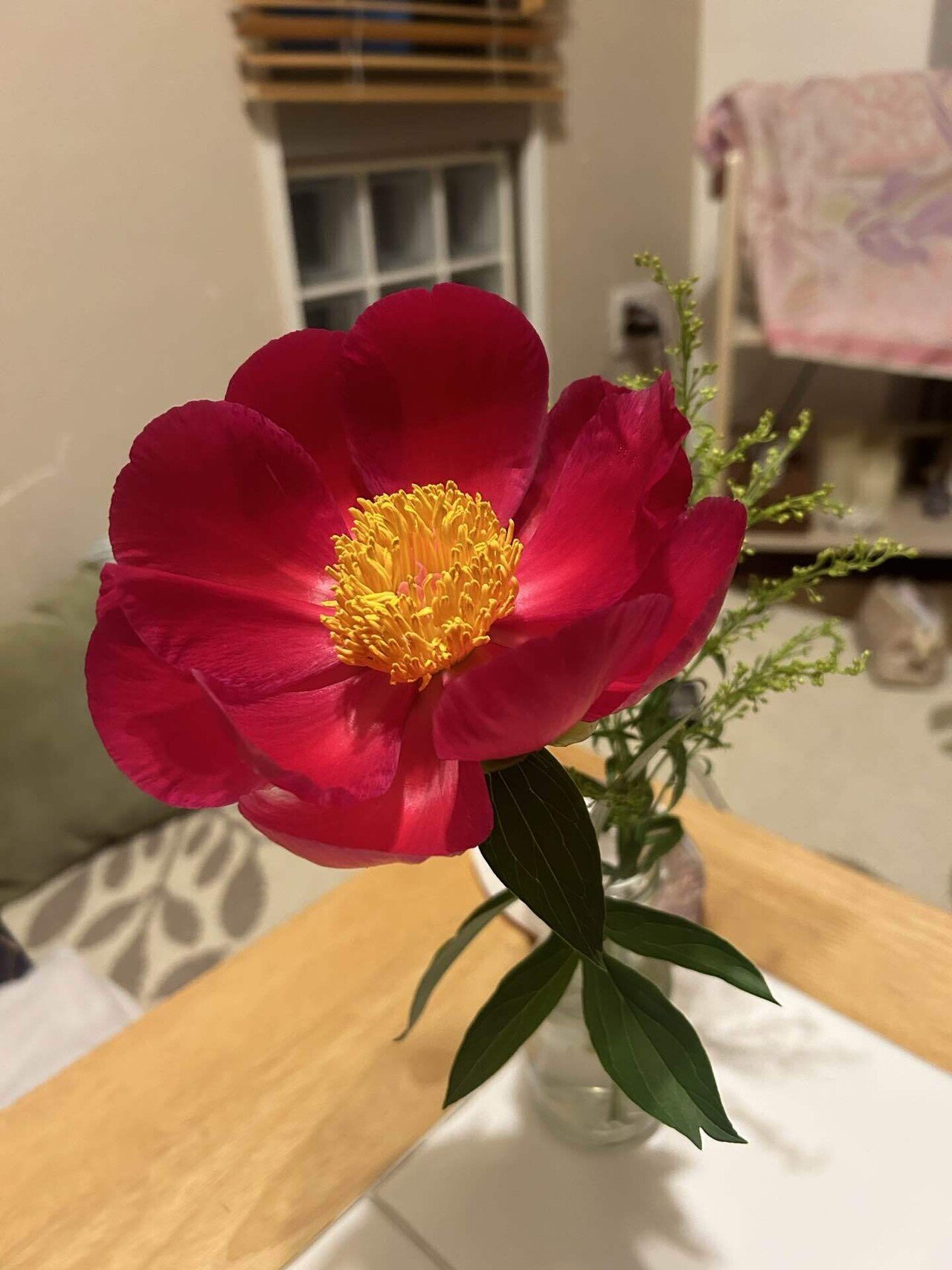 昨日、あつこつさんのお泊まりをお迎えした芍薬さん、あつこつさんが記事で紹介してくれました ️ https://note.com/lecharme_atsuko/n/n04e6304902de ...