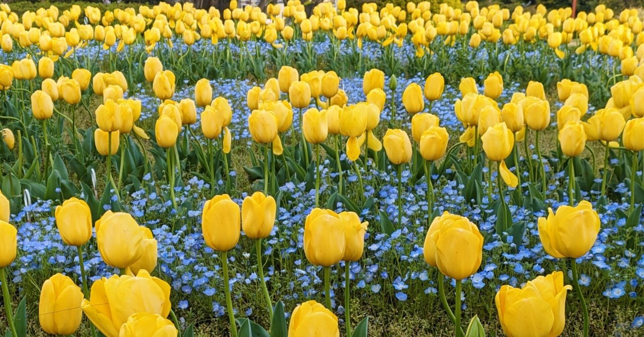 FIREした理由⑥FIREのトリガー｜桜川旅人（Tabito）40代FIRE