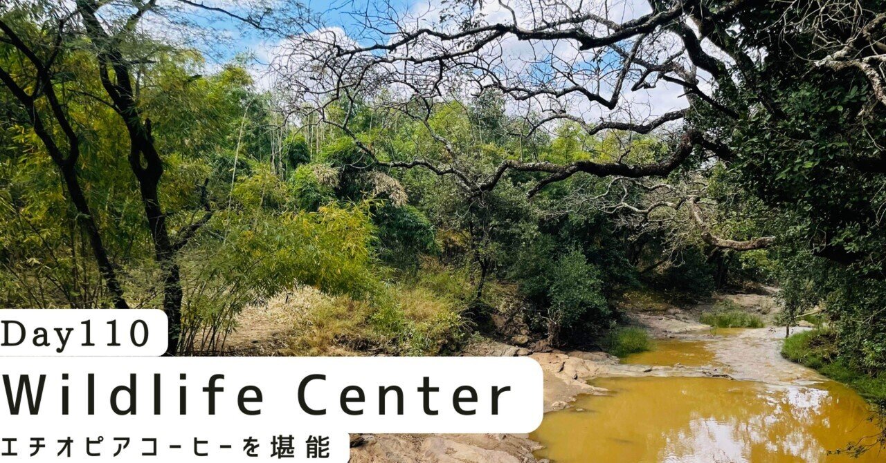 【Day110】Lilongwe Wildlife Center｜K🇲🇼JOCV2023-3