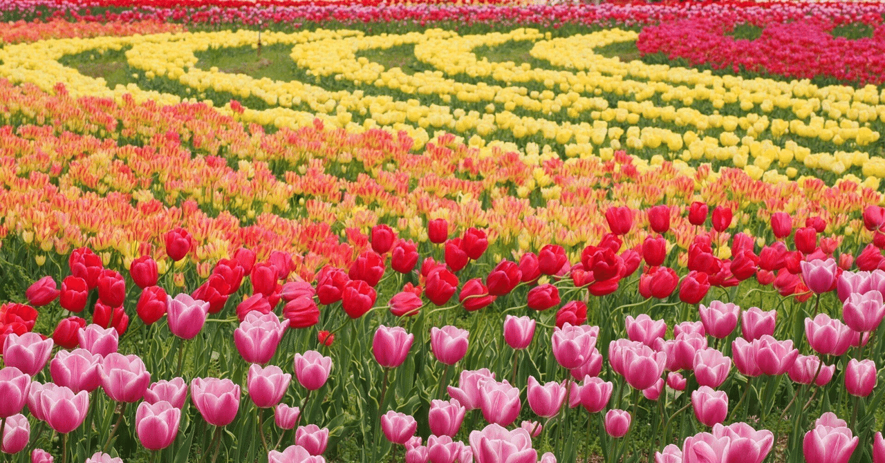 LinuxにStreamlit入れてみた ubuntu｜blue06_2022