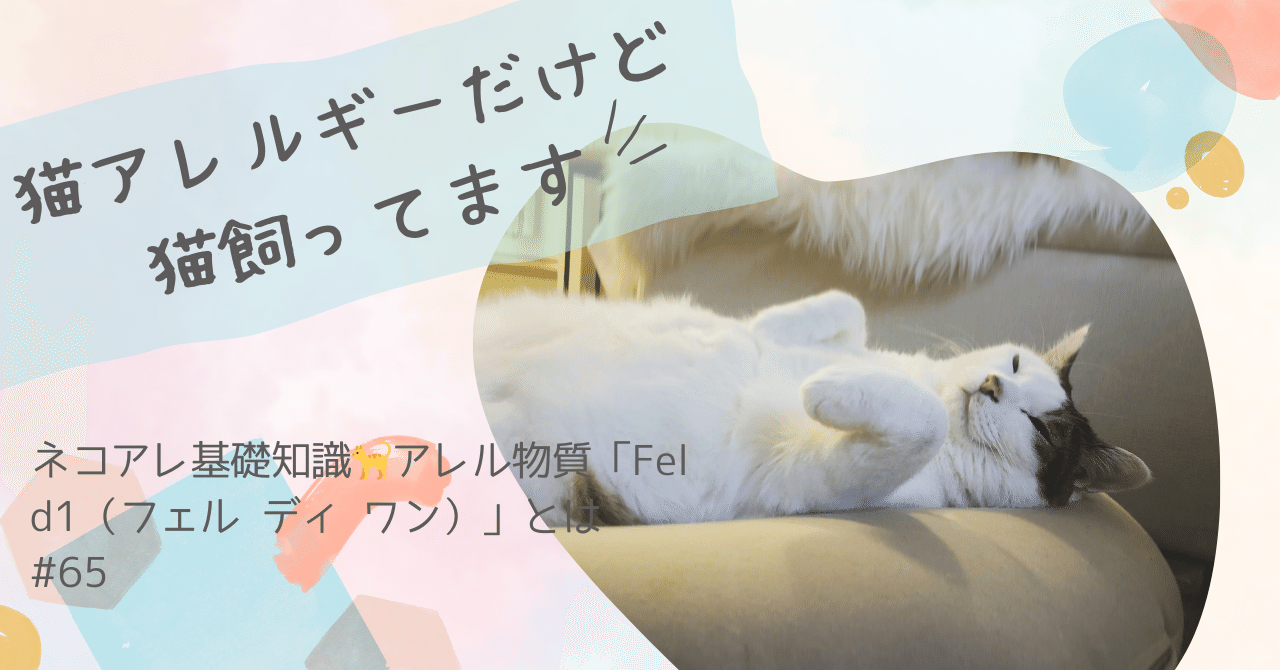 猫アレルギー基礎知識編① アレル物質「Fel d1（フェル ディ ワン）」とは｜ネコアレ専科