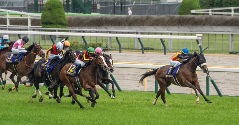 【優駿牝馬~オークス(g1)回顧~その先へ】日刊コンピ篇|haya