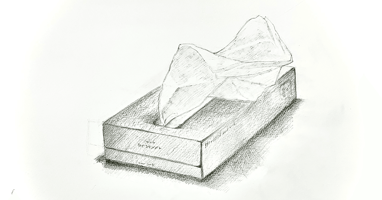 私が私じゃないみたいで｜sk__ponko