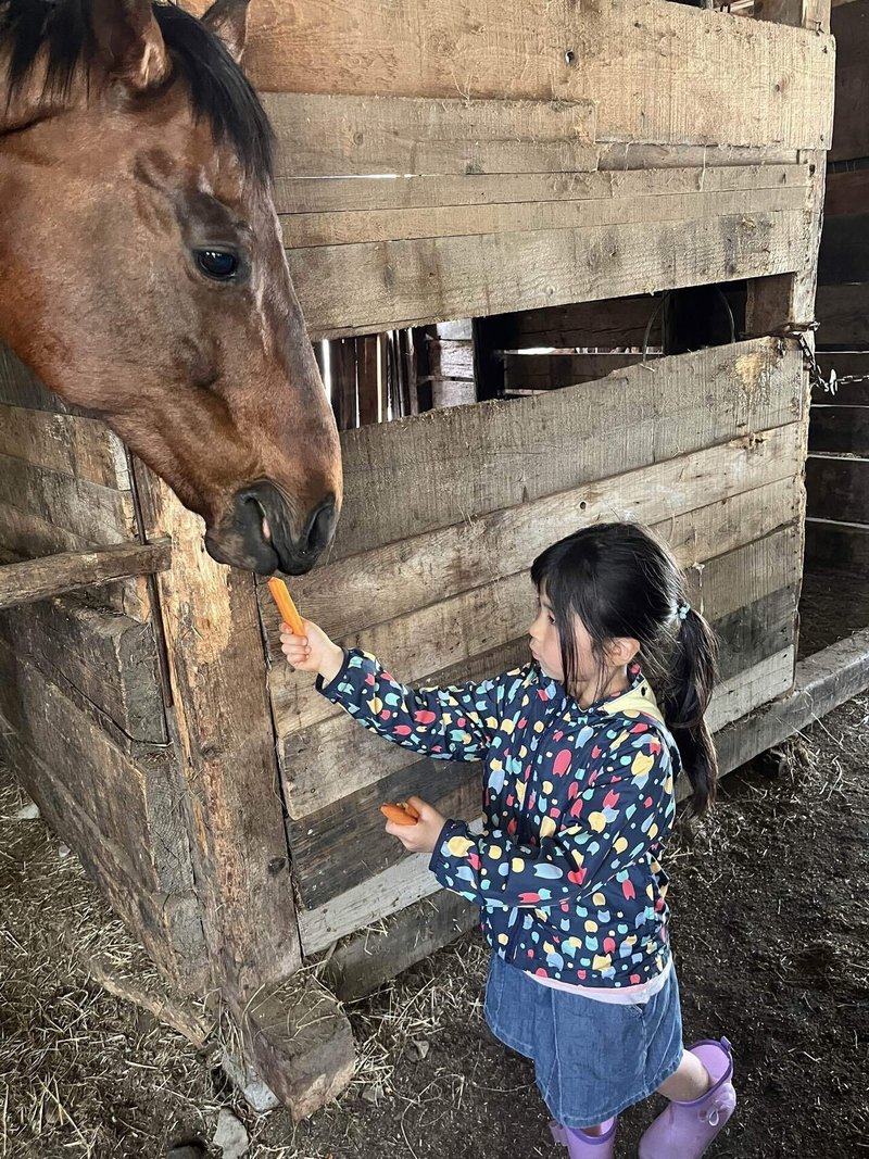 5-㉑ 火炎琉星｜AKIRARIKA