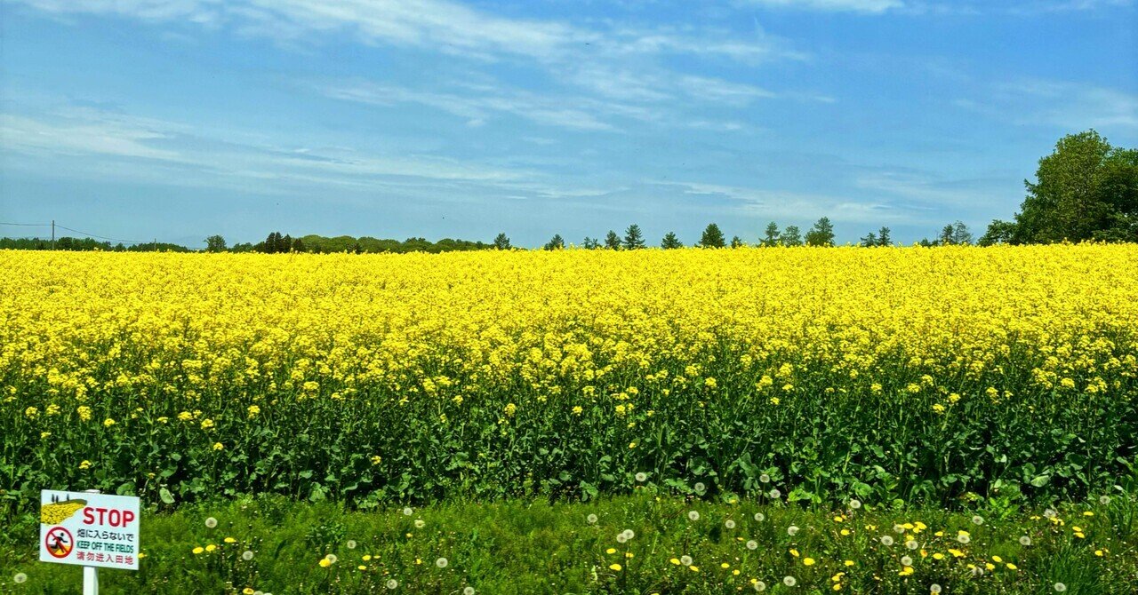 tomomo_nihao友も｜note