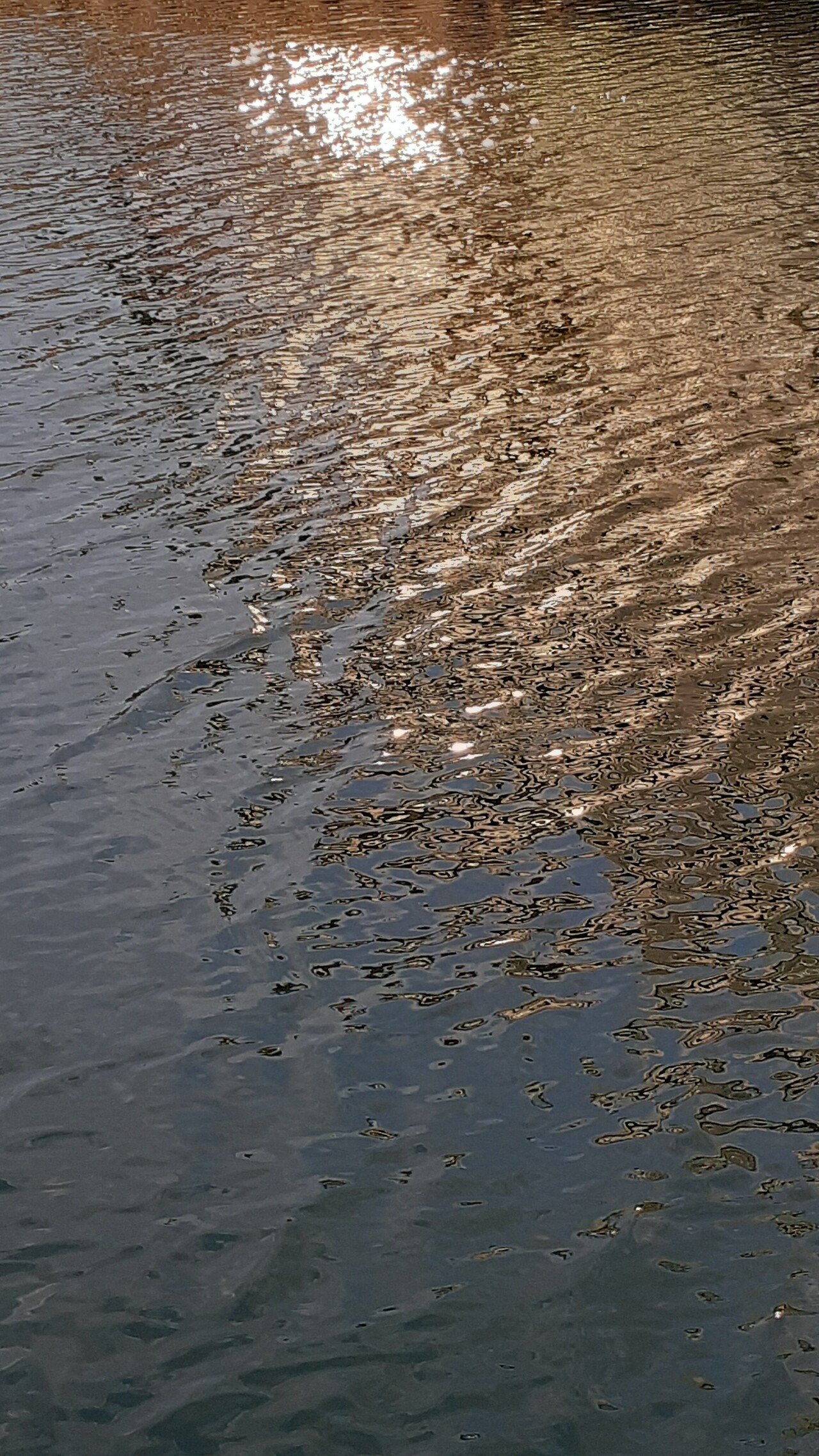 スピリットメッセンジャー Chiyoko ちよこ音色｜note