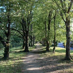 菊𝕜𝕚𝕜𝕦｜note