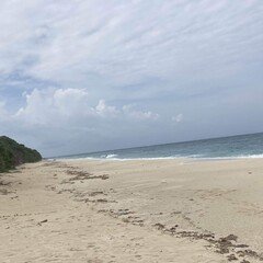 菊𝕜𝕚𝕜𝕦｜note