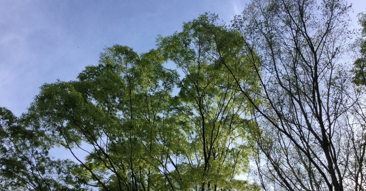 2019年6月5日 住んでいる街が発展していく｜あぎる/agiru