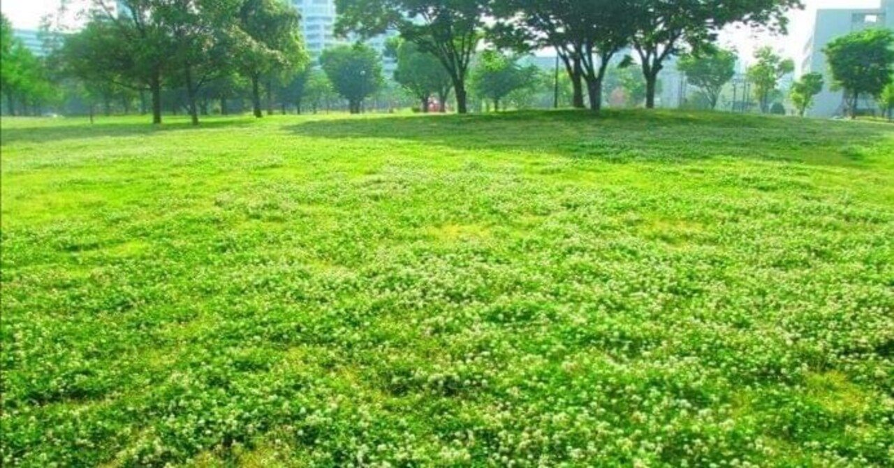 七色アガサnanairo_agasa｜note