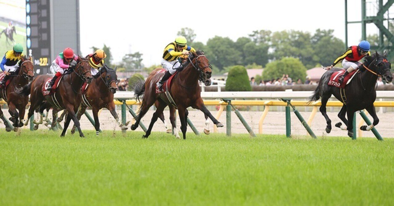 【2024 目黒記念（G2）】徹底的に攻略データ篇｜Haya