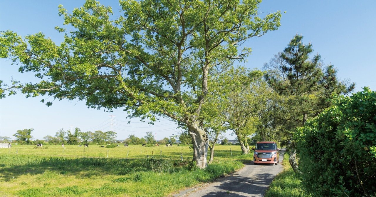 SUNSUN drive｜茨城トヨペット｜note