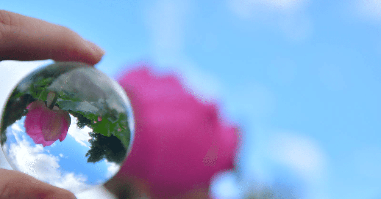 昨日より伸びる視点をもつことが大切｜Yu+（ユープラス）／心が変われば人生も変わる