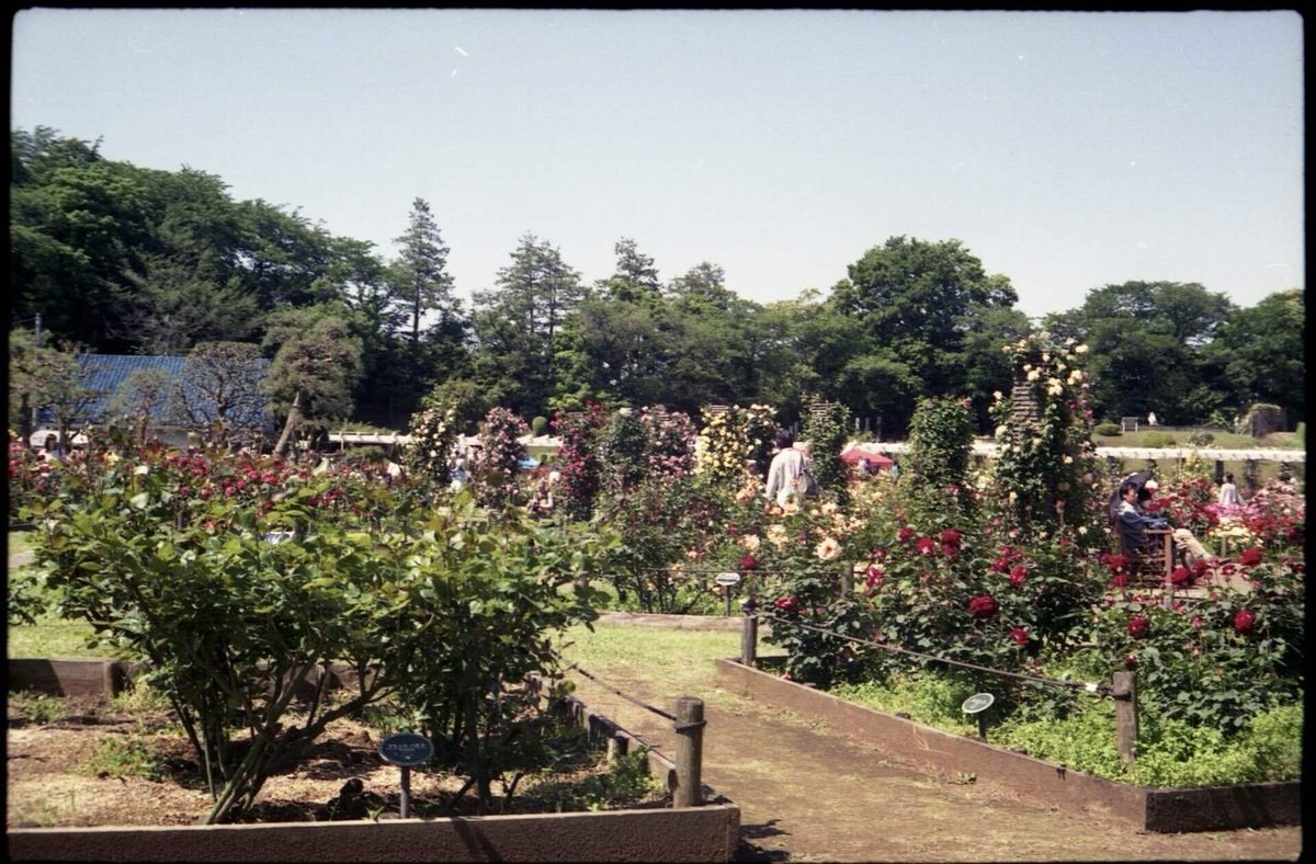 PETRI PRO7はプロに嫌われたプロのカメラ｜Sven.