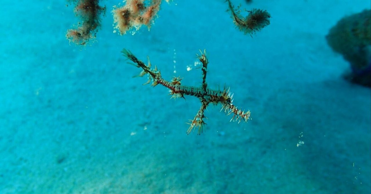 元証券マントレーダーE-kuma｜note