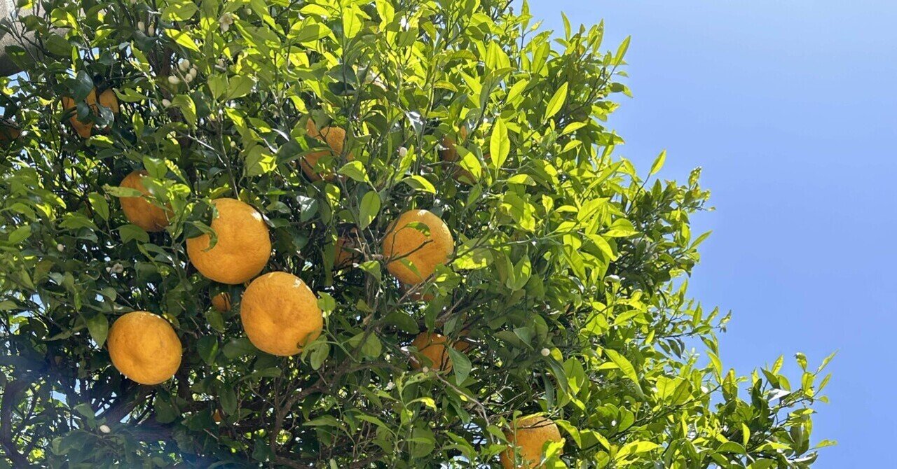 メッセージ🐉 ｜Hakuto Eiko