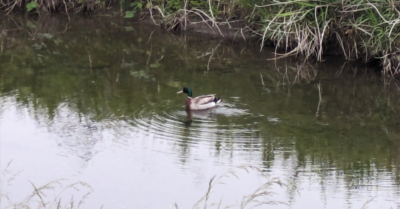 第3巻289番~作者 間人大浦｜ichiro70