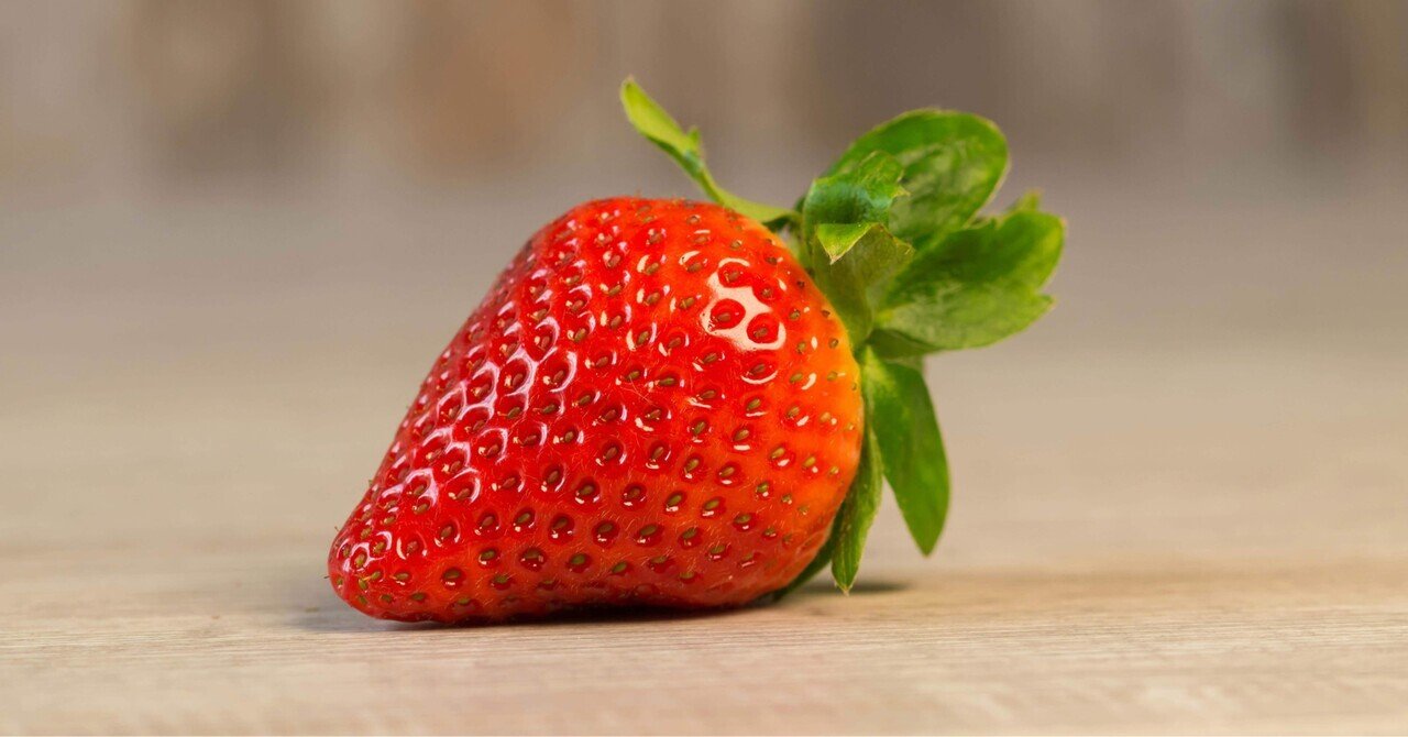 何十年ぶりかのイチゴ狩り｜yuichi_imamura