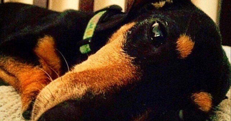 SENRI OE 大江千里の記事一覧｜note（ノート）