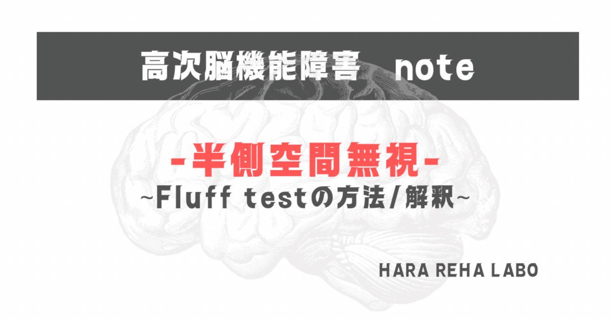 半側空間無視[Fluff test（身体無視の検査）]｜はらリハ【自費リハビリ&脳卒中専門セラピスト】