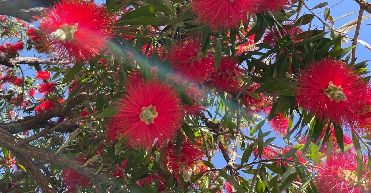 make them laugh｜YUKARINのヘソだしクラブ