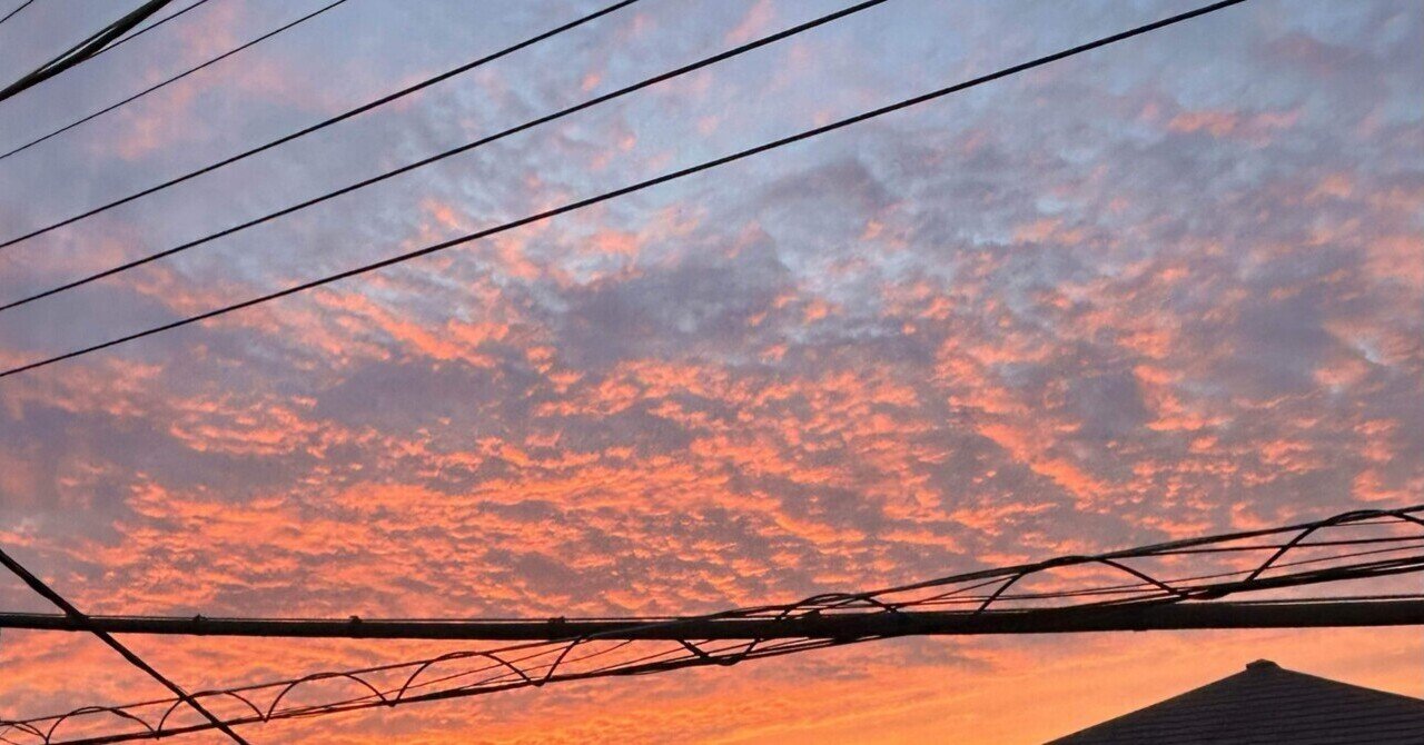 あしびな@shine🌈｜note