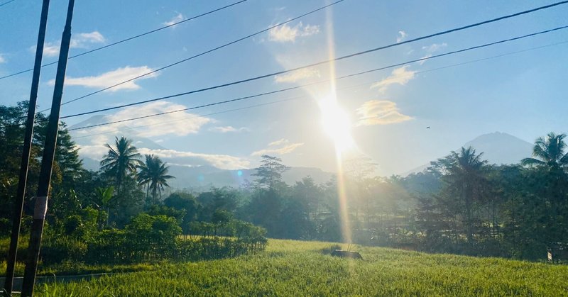 Matsui-Glocal｜note