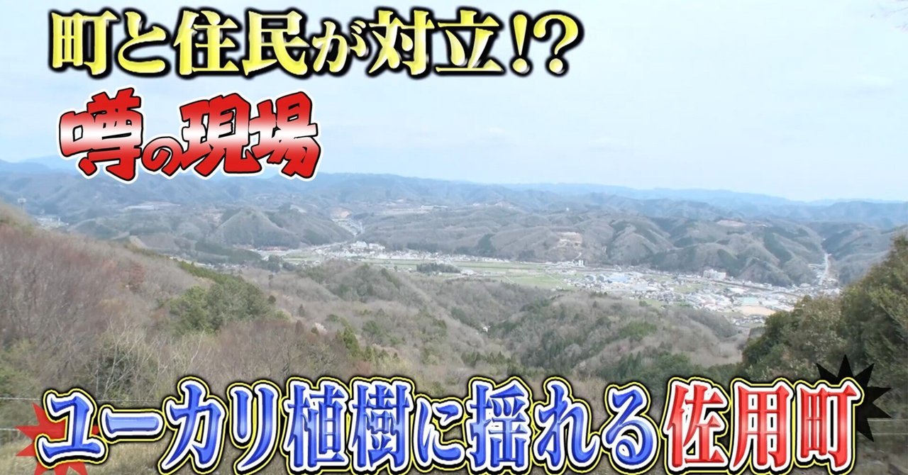 ユーカリ植樹で町と住民が対立！【噂の！東京マガジン「噂の現場」】｜BS-TBSの公式note