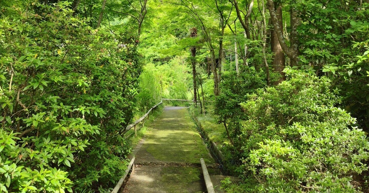 今日学んだこと〜今日一日の区切りで生きよう〜｜Sully