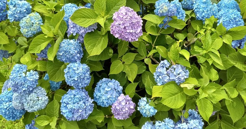 something-pudding。｜note