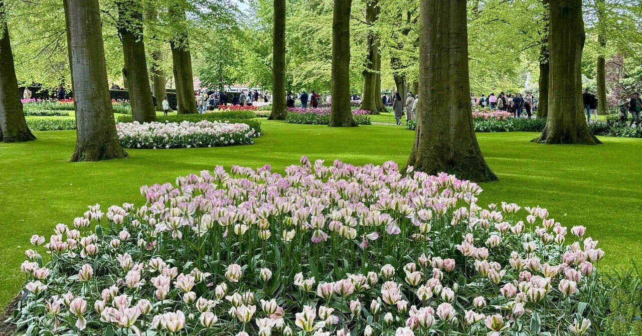 Yucco🇳🇱オランダ在住双子ママ｜note