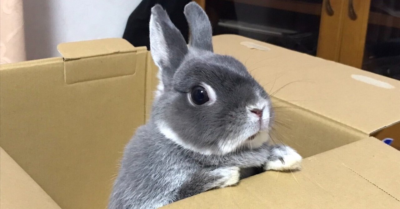 元証券マントレーダーE-kuma｜note