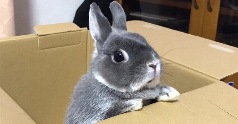 元証券マントレーダーE-kuma｜note