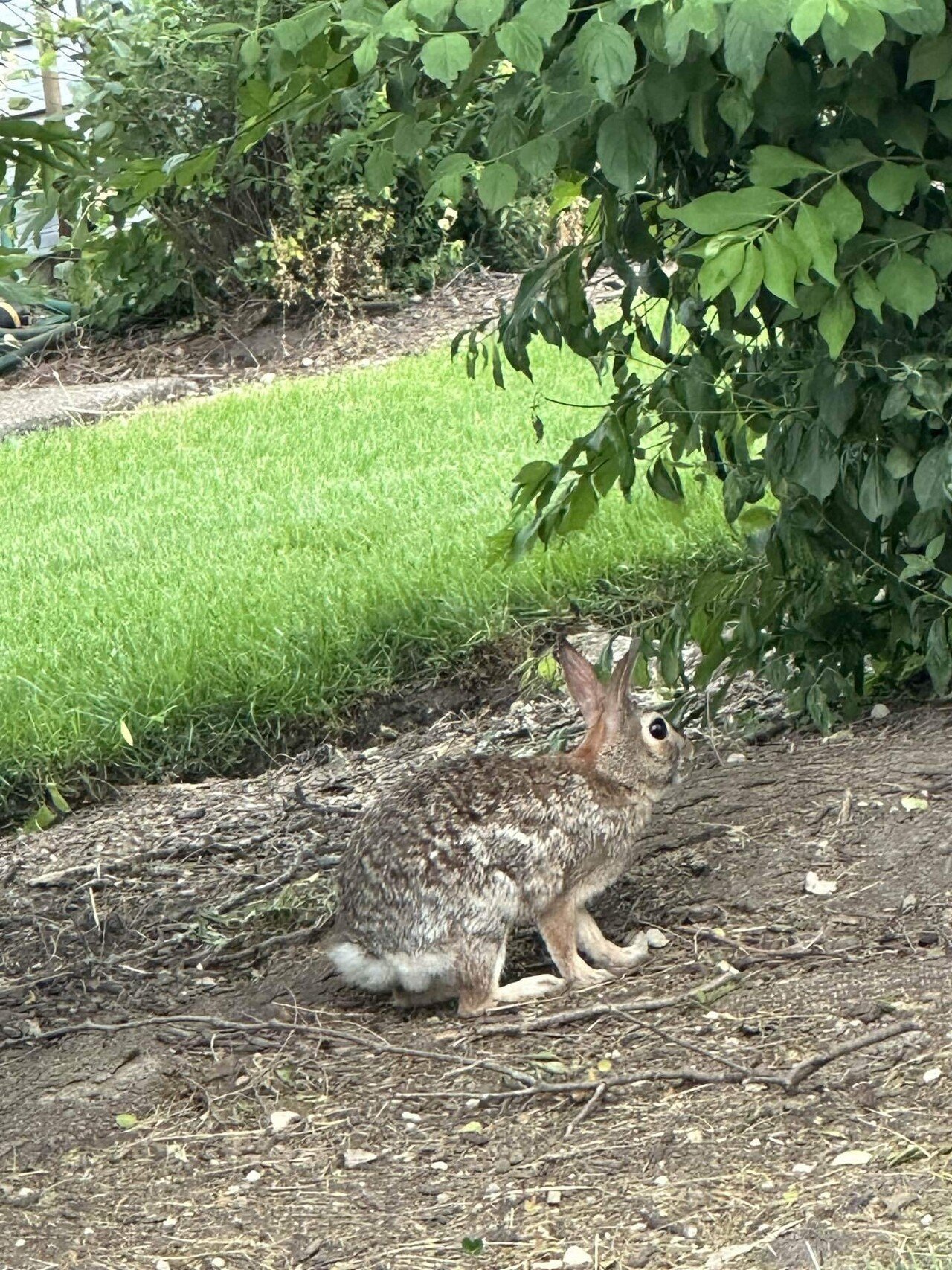 Shoko ／🇺🇸ライフスタイルデザイナー｜note
