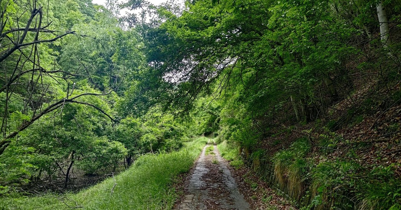 夏らしい事は夏が来る前に終わらせておいた方が良い｜aosmi