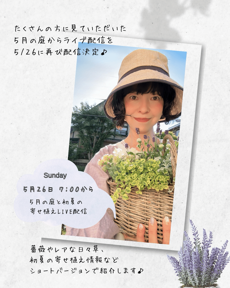 shirokuma KOBE｜note