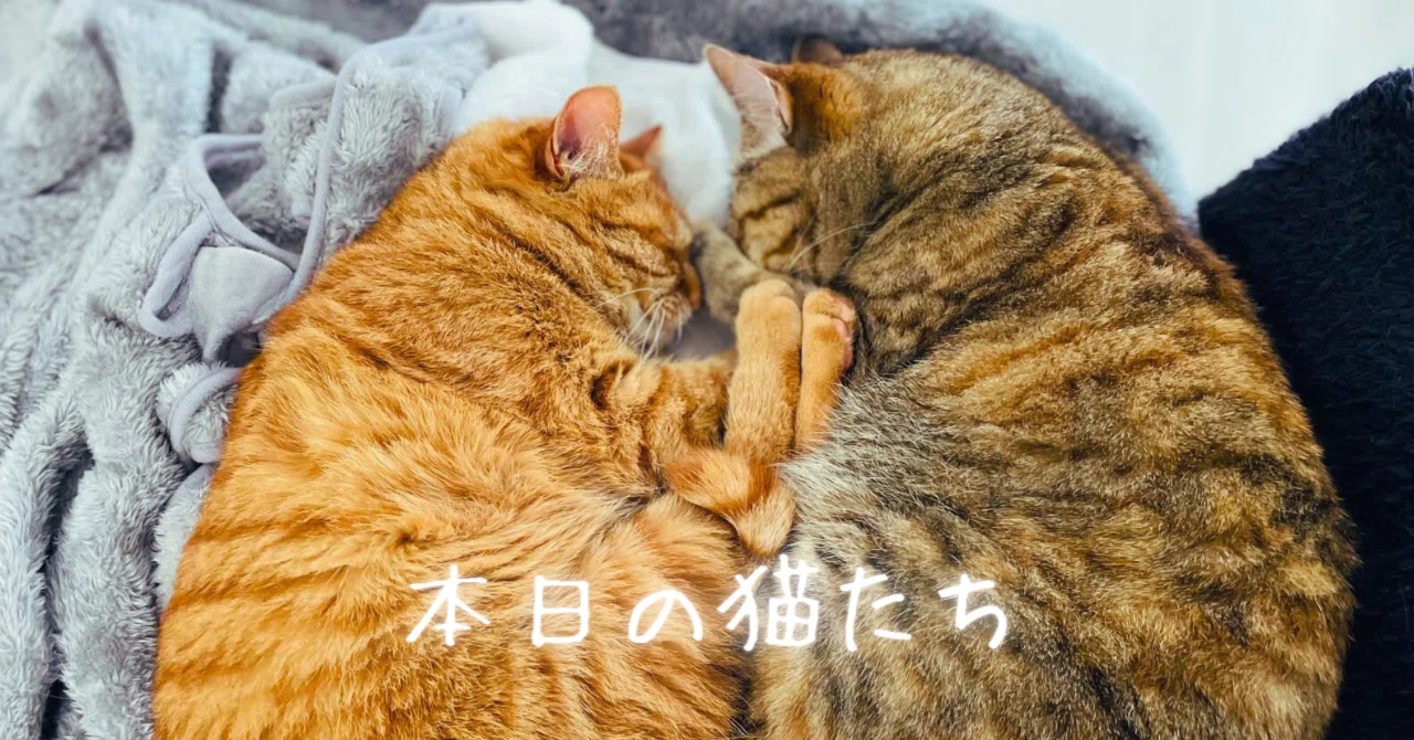 MIU｜note