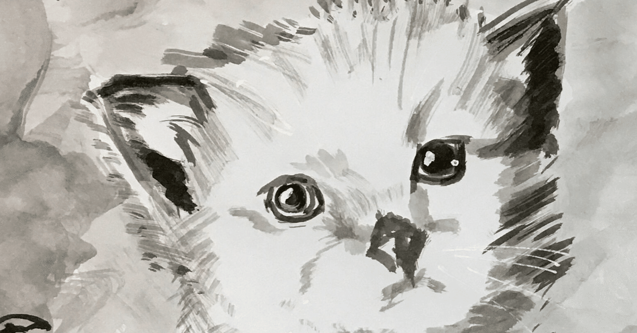 生きやすくなるためにはこれだろ。｜𝓘𝓞𝓡𝓘 いお