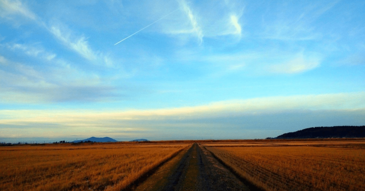 迷わず行けよ行けば分かるさ！｜shu-star