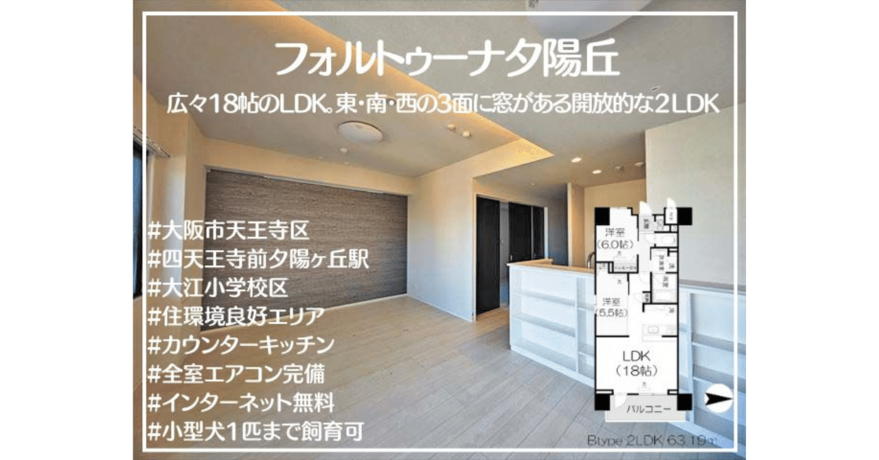 大江小学校区。大和ハウス施工のペット可2LDK│フォルトゥーナ夕陽丘｜大阪都心特化。完全予約制のバッカス不動産代表 下園