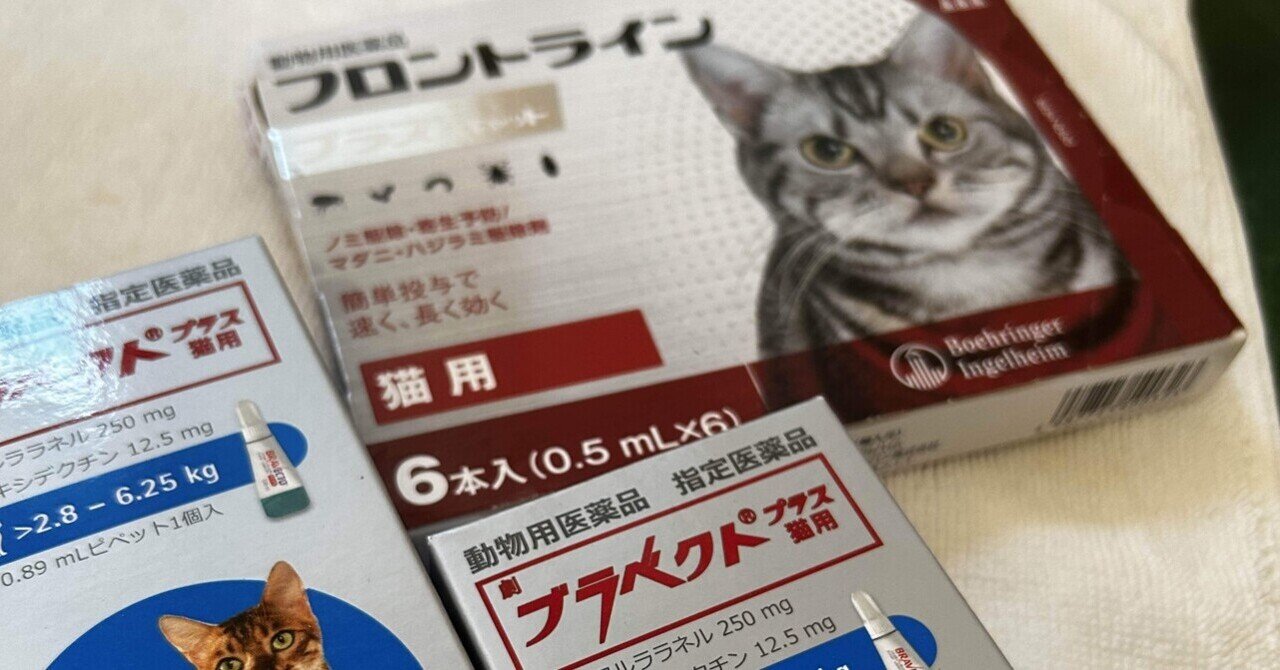 SFTSにご注意を｜猫のはらっぱ