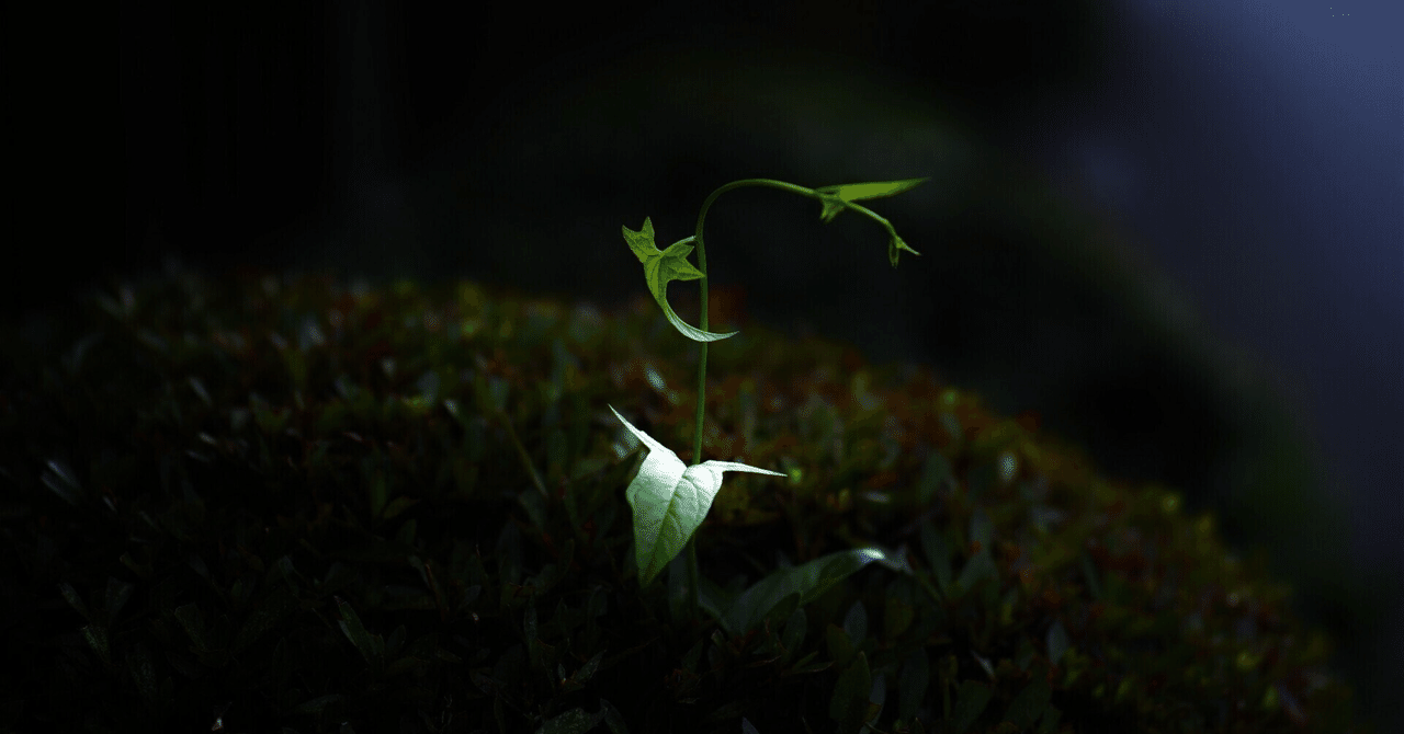 Makoto Shirasu｜note