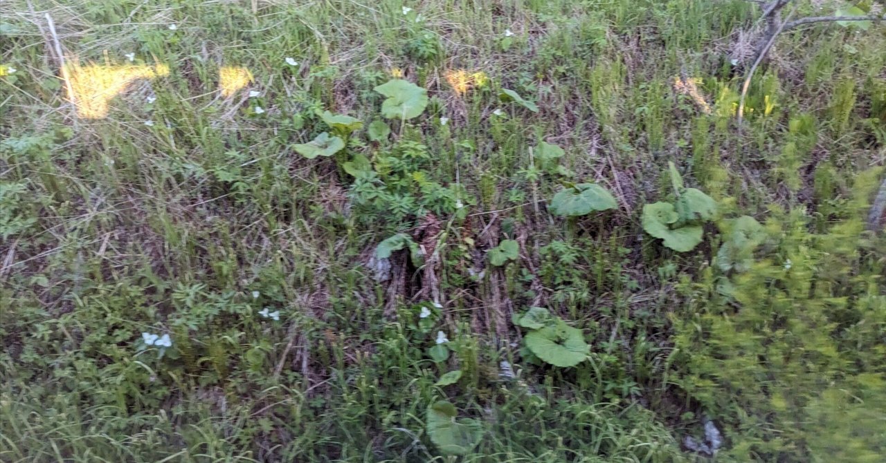 道は続くよどこまでも｜Dala Space ひろこ