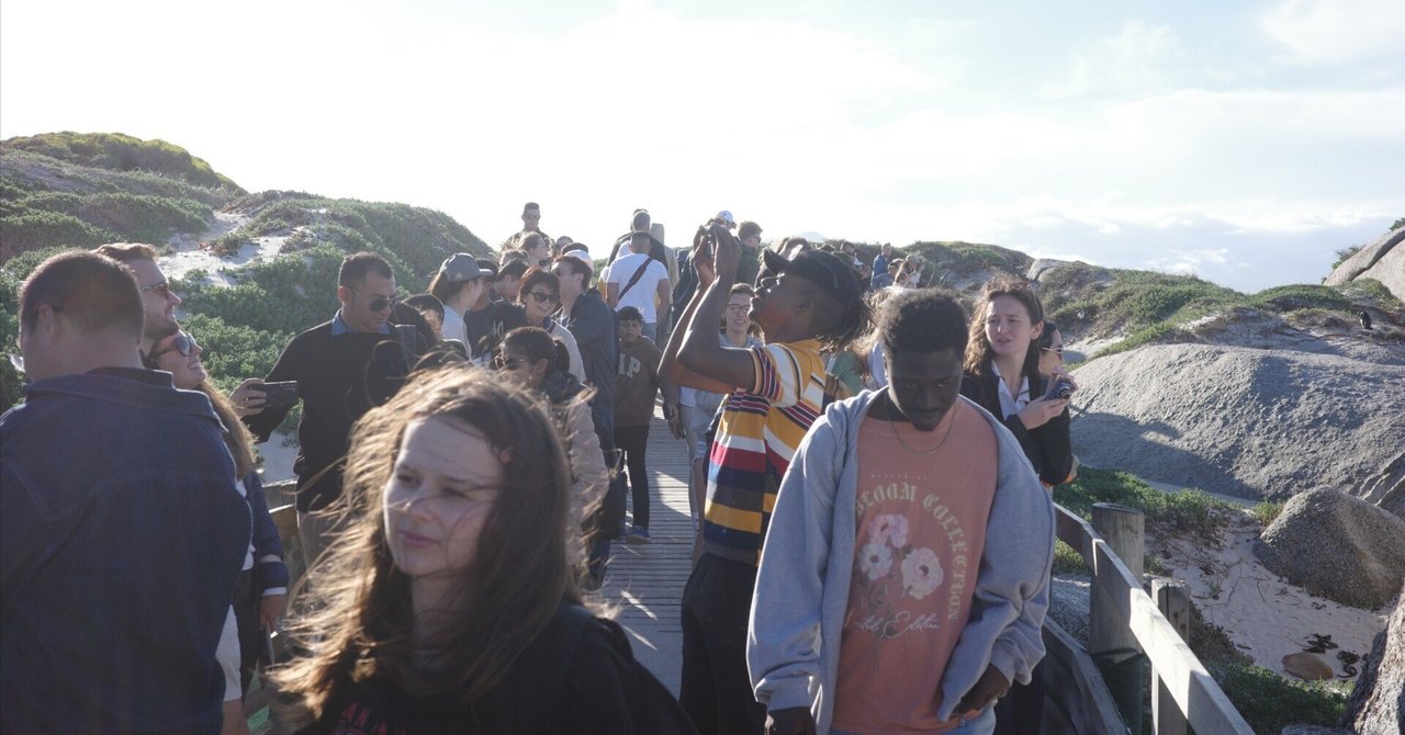 ペンギンに群がる大人達。｜ケープタウンで闘うShunta Suzuki