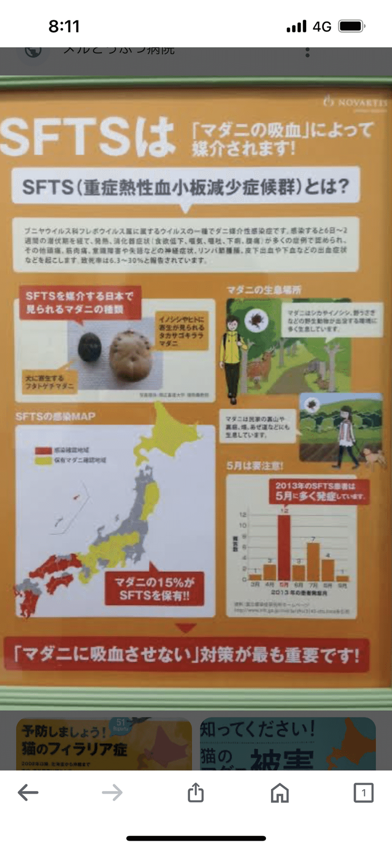 SFTSにご注意を｜猫のはらっぱ