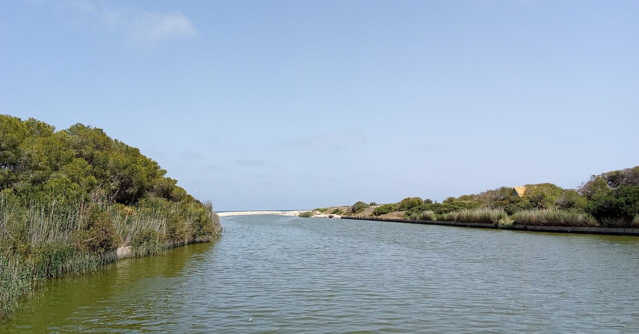 #24 ピクニック垂れ流し、備忘録的note｜KoKi