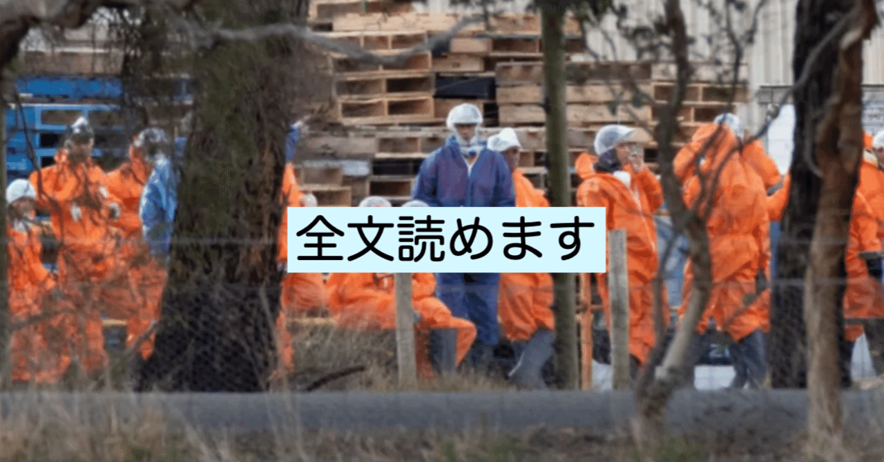 Dr Pilon (パイロン先生)｜note