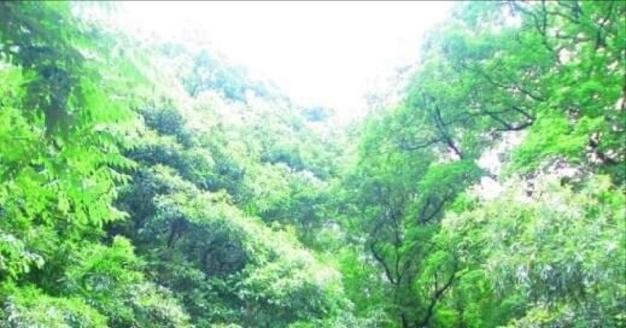 七色アガサnanairo_agasa｜note