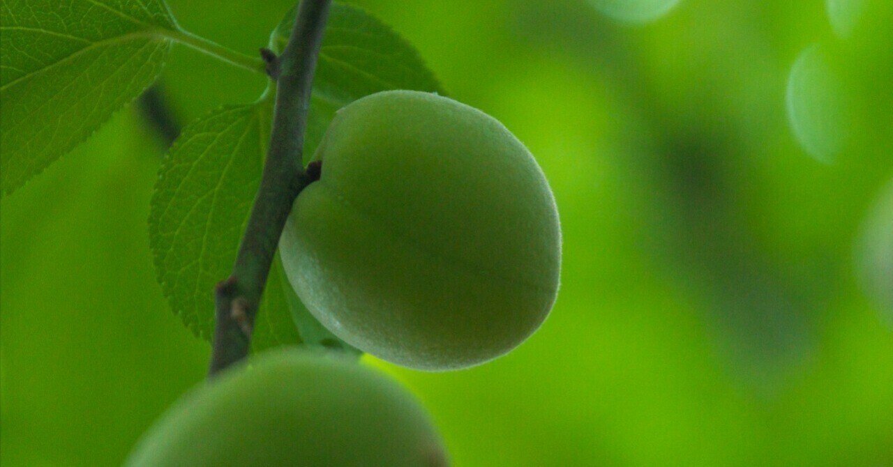 Kiritori Sekai｜青梅-あおうめ-/Aoume｜AkiirO